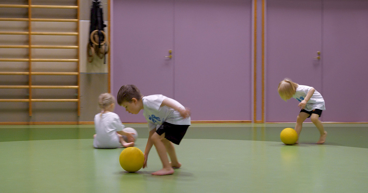 Wild Balls 1 - Regional Sport of Finland